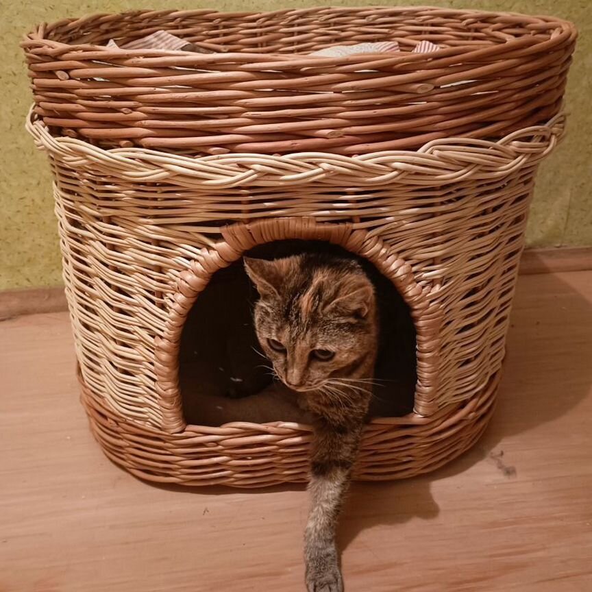 Домик для кошек плетёный из ивовой дозы