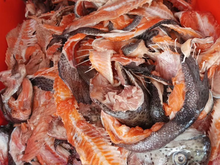 Рыбные отходы