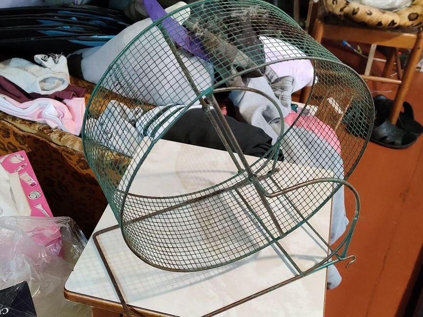 Колесо для хомяка