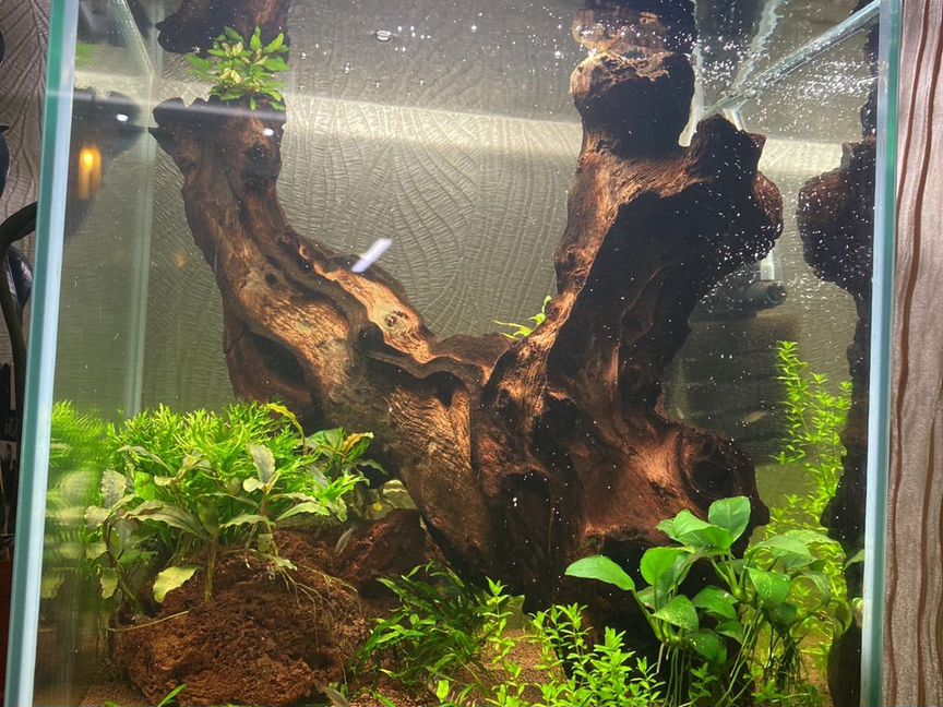 Нано аквариум