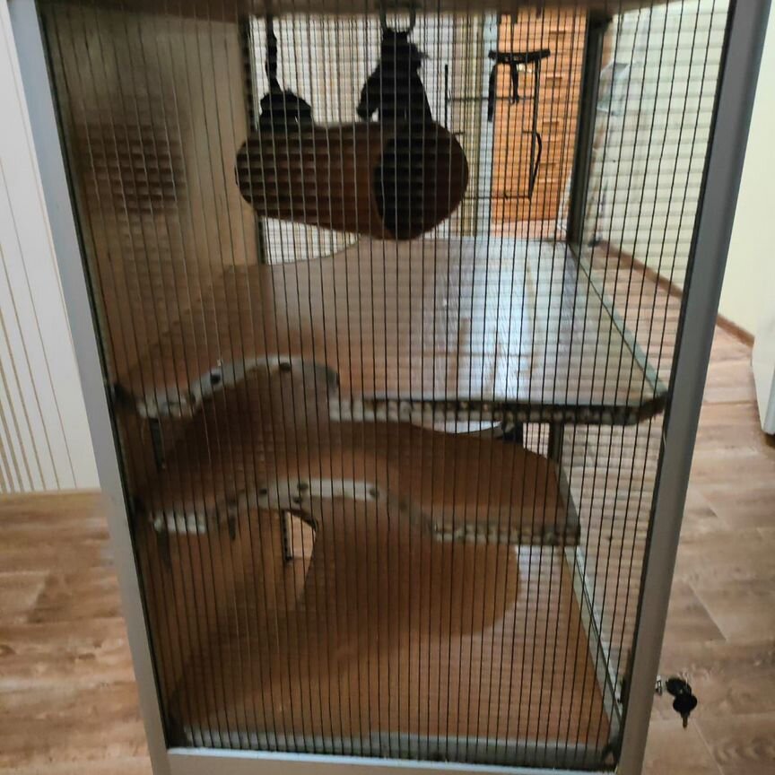 Продадим витрину для грызунов