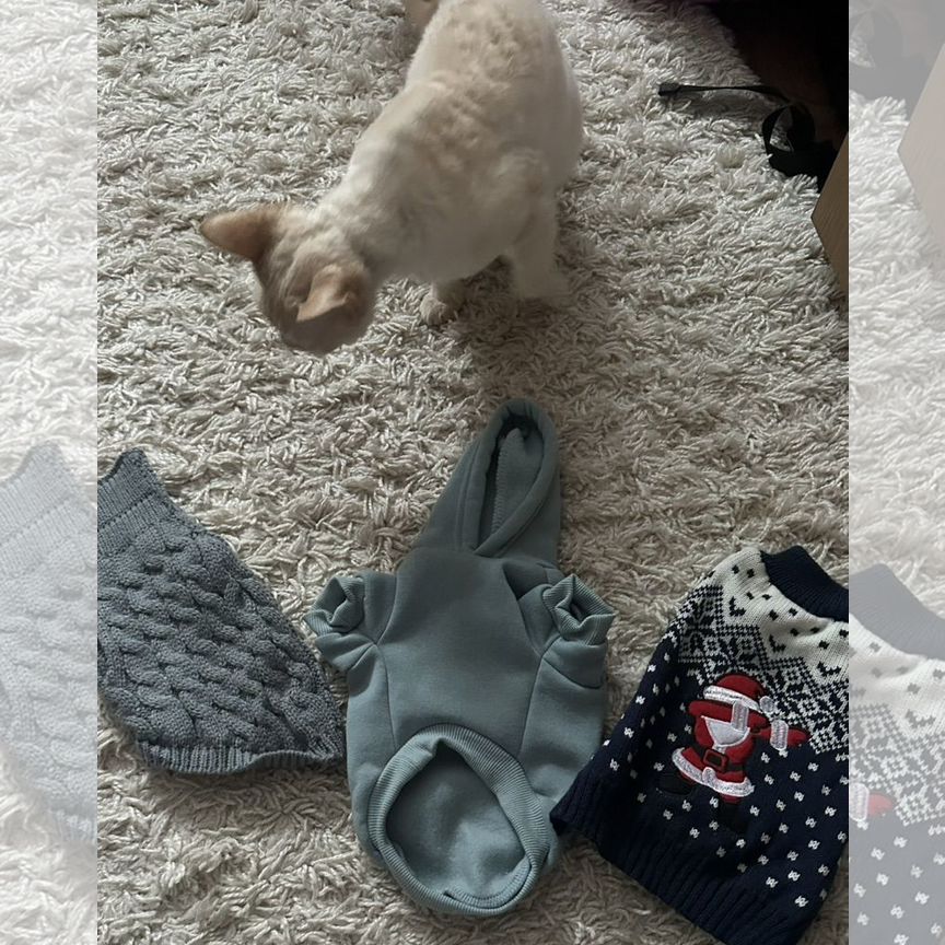 Костюм для животных