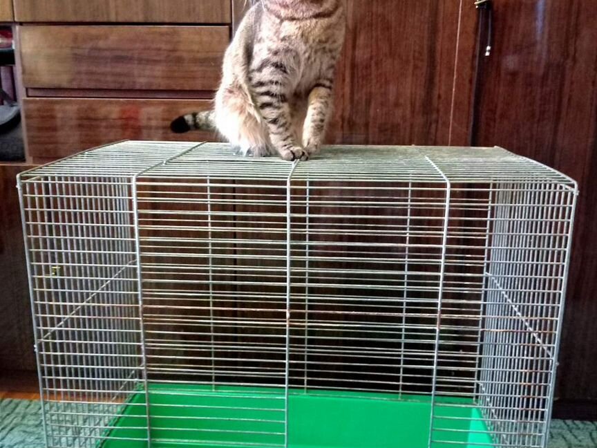 Клетка Шиншилла-70 Интерзоо