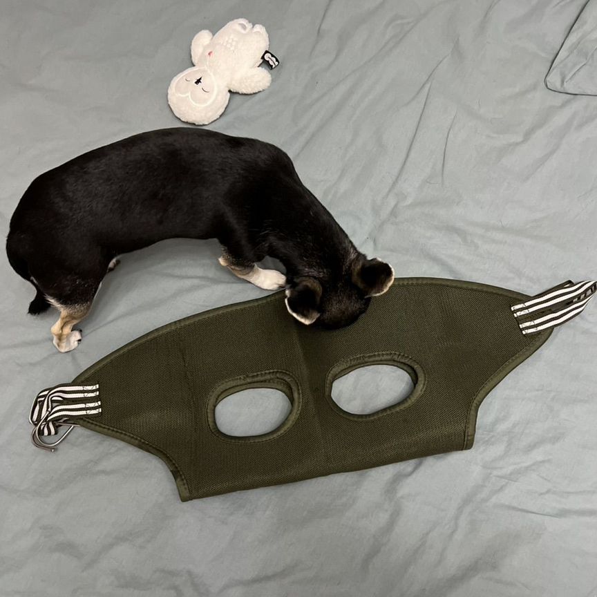 Гамак для кошек и собак