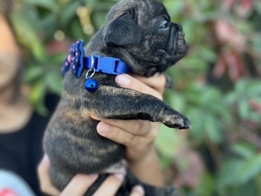 Яркий парнишка