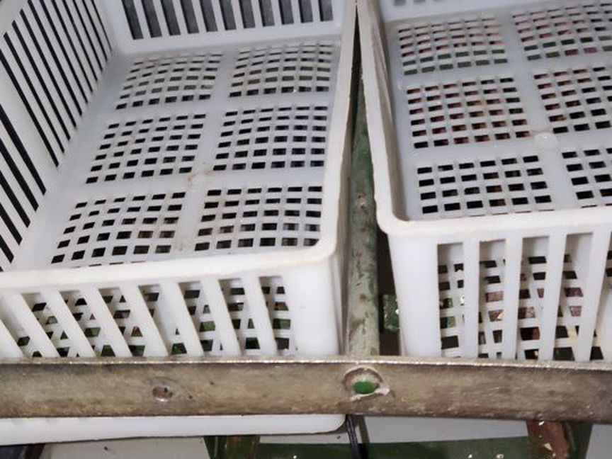 Продаю инкубатор