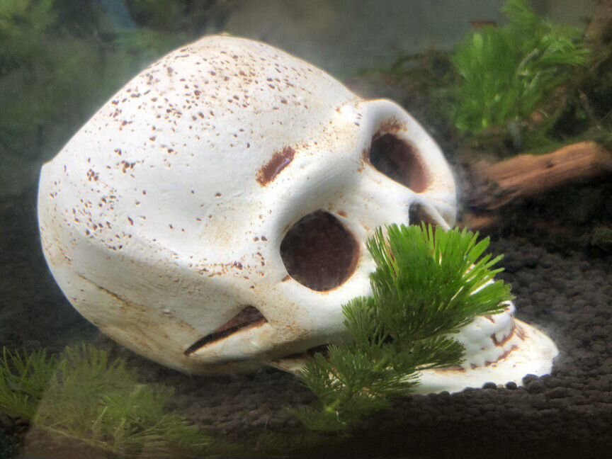 Грот для аквариума "Череп"