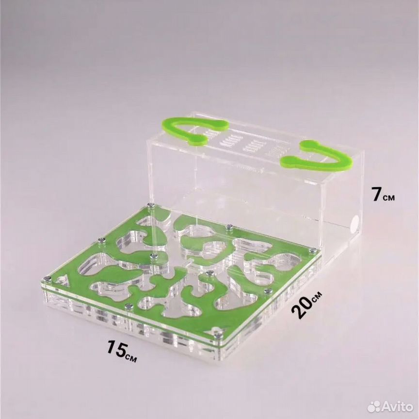 Муравьиная ферма