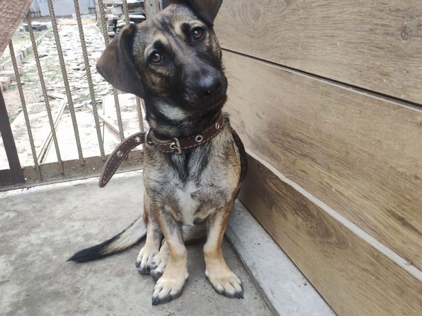 Маленькая кнопа