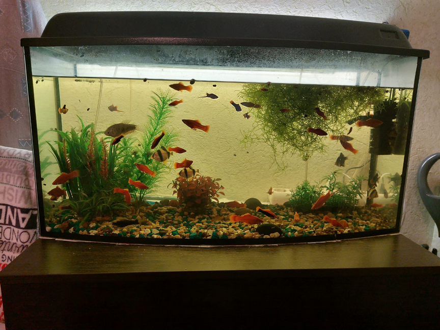 Аквариум 100 литров со всем комплектом