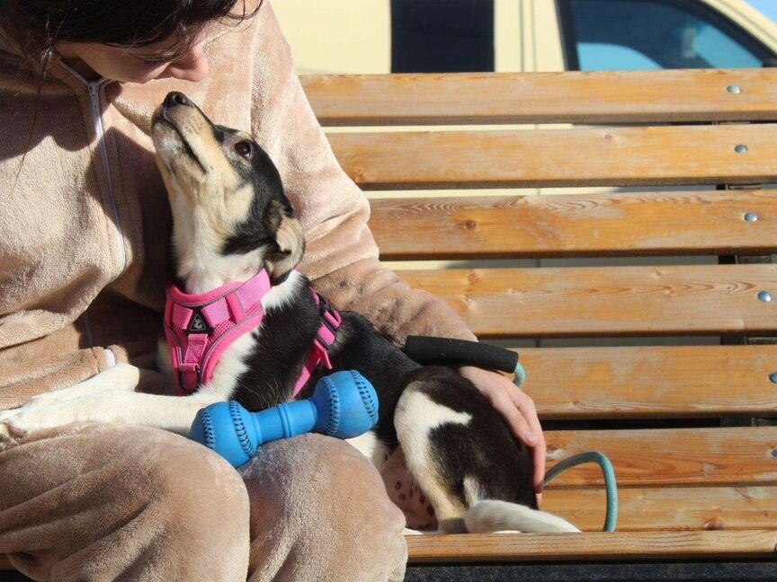 Малышка Эли в добрые руки