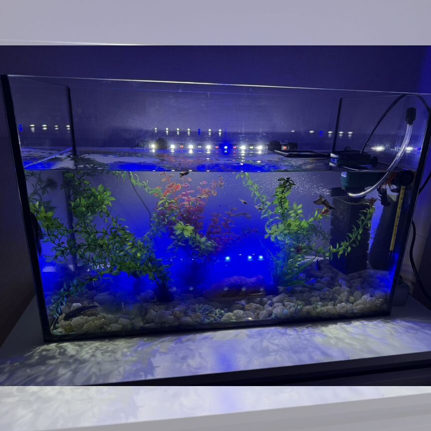 Аквариум вместе с жителями 55 литров