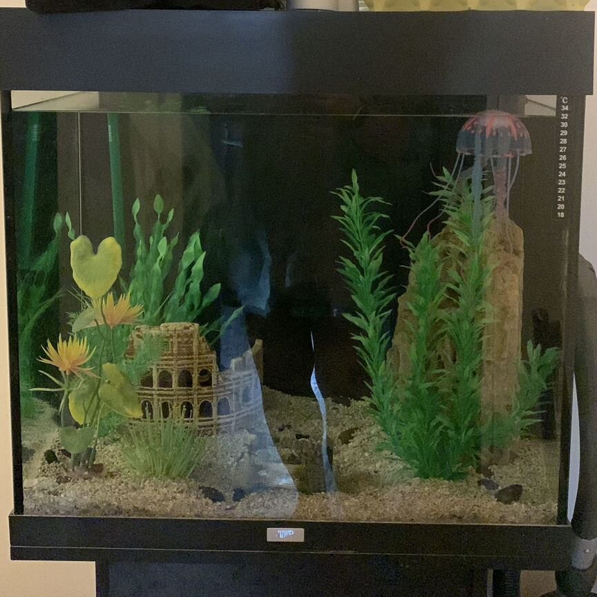Аквариум с тумбой бу