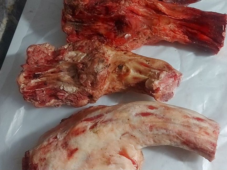 Корм для животных-собак