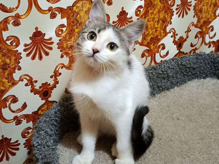 Машуня ищет семью