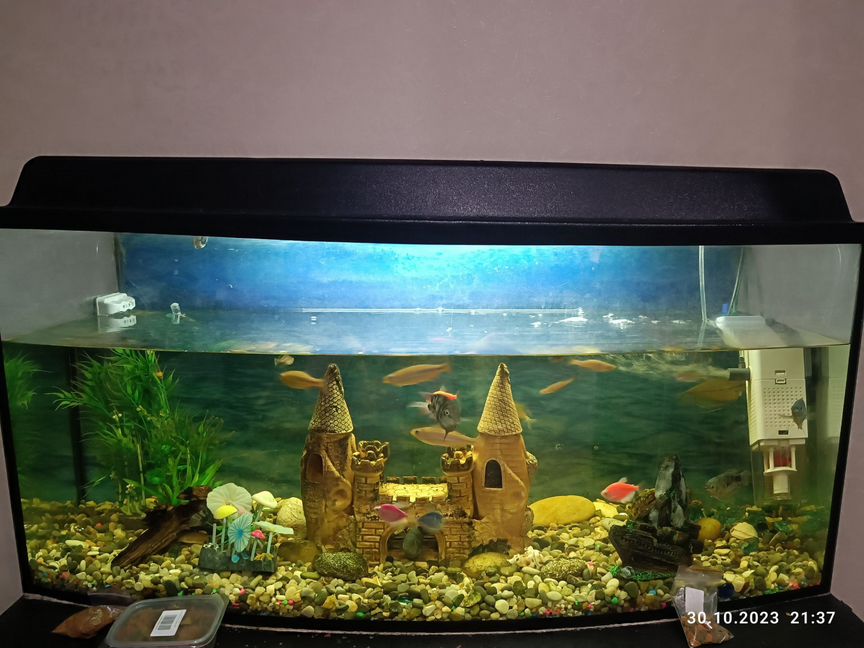 Украшение для аквариума