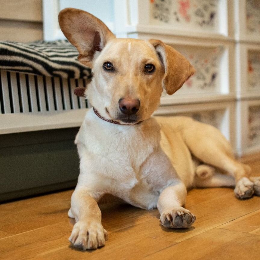 Спасите малыша