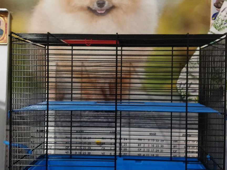 Клетка для грызунов