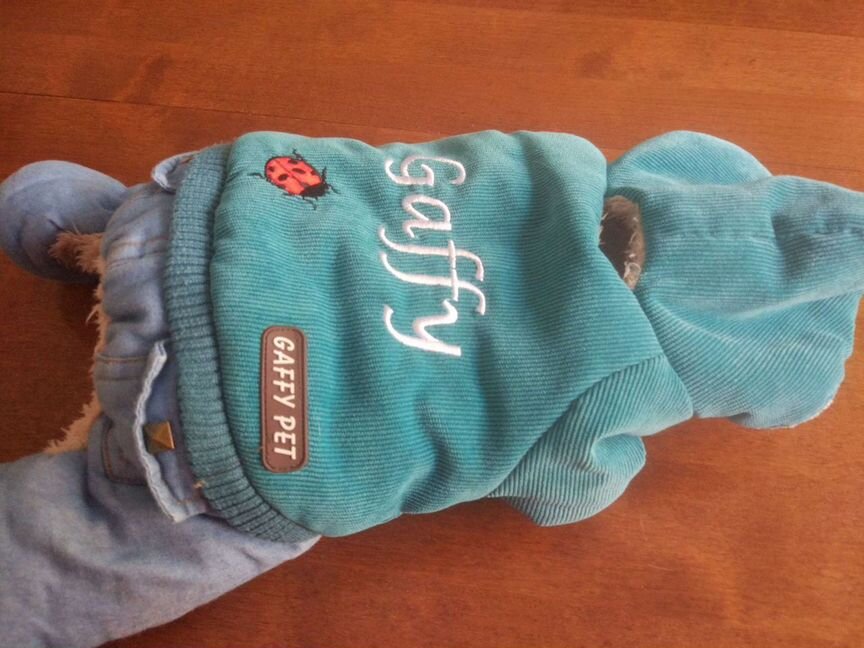 Зимний костюмчик для чихуахуа