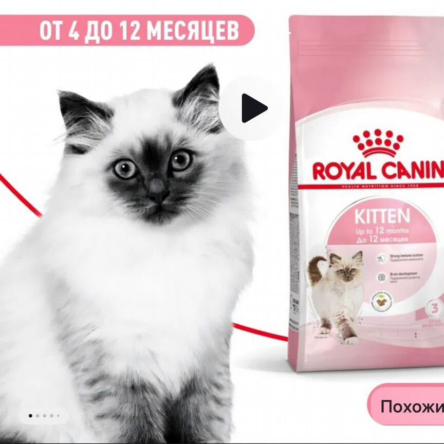 Корм для кошек royal canin
