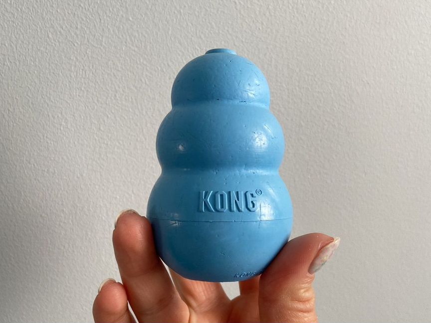 Kong Puppy