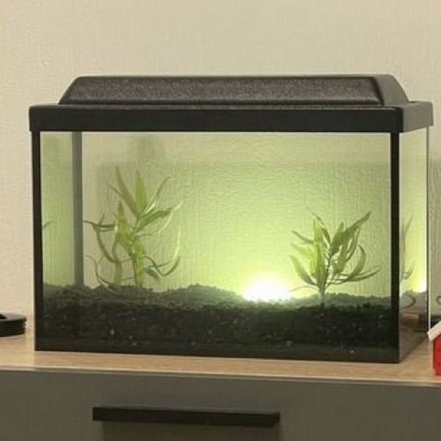 Аквариум 8л с растениями и грунтом