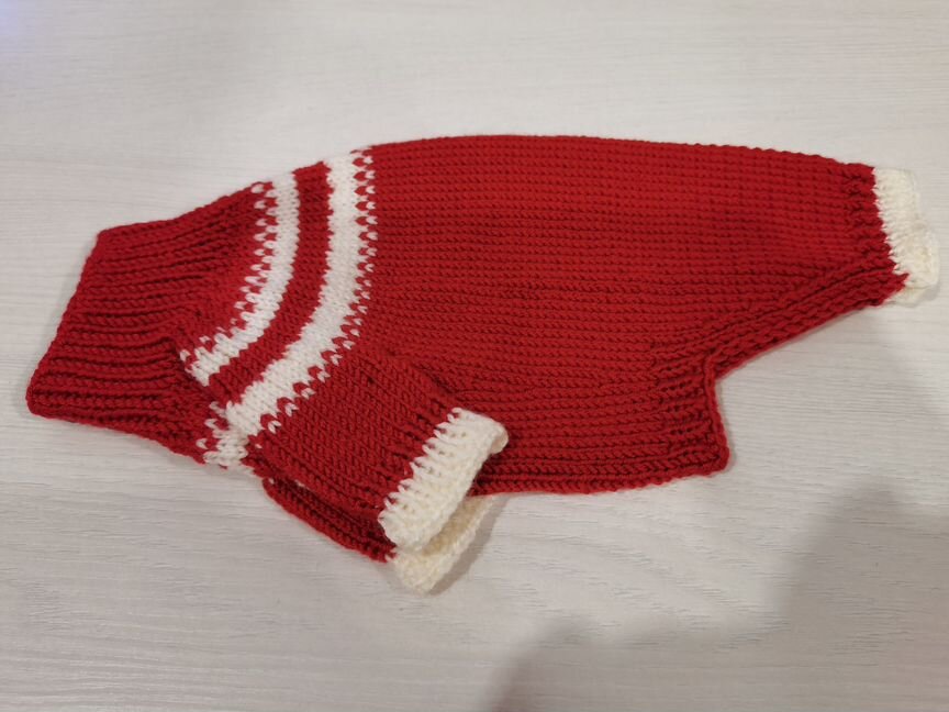 Одежда для собак и кошек