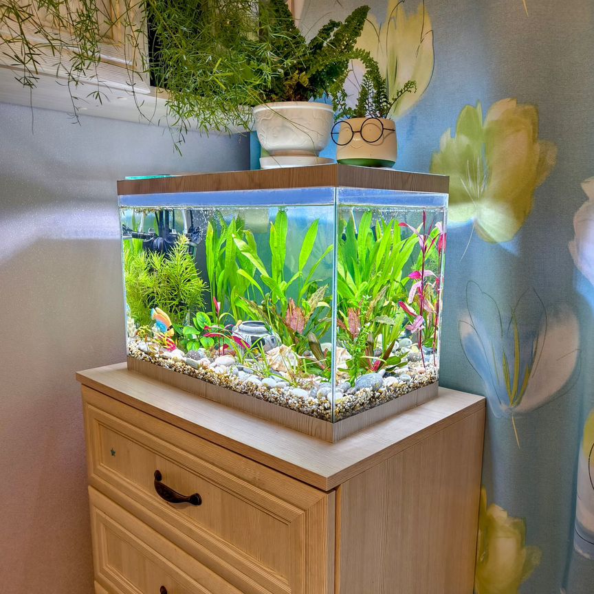 Аквариум 40 литров с оборудованием