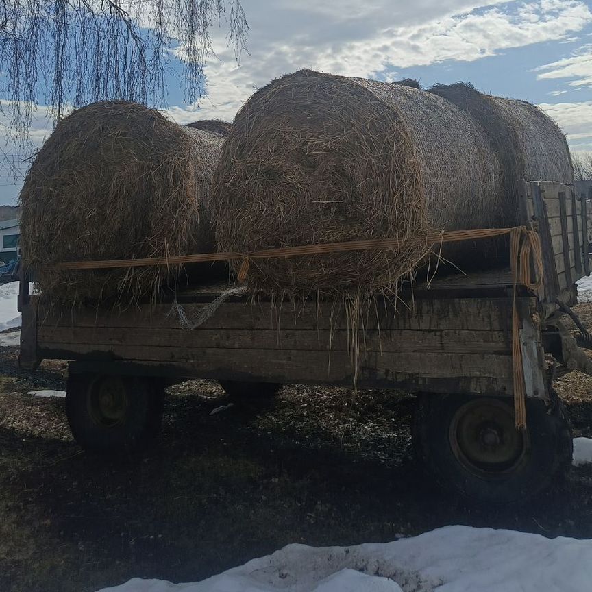 Продам сено в тюках