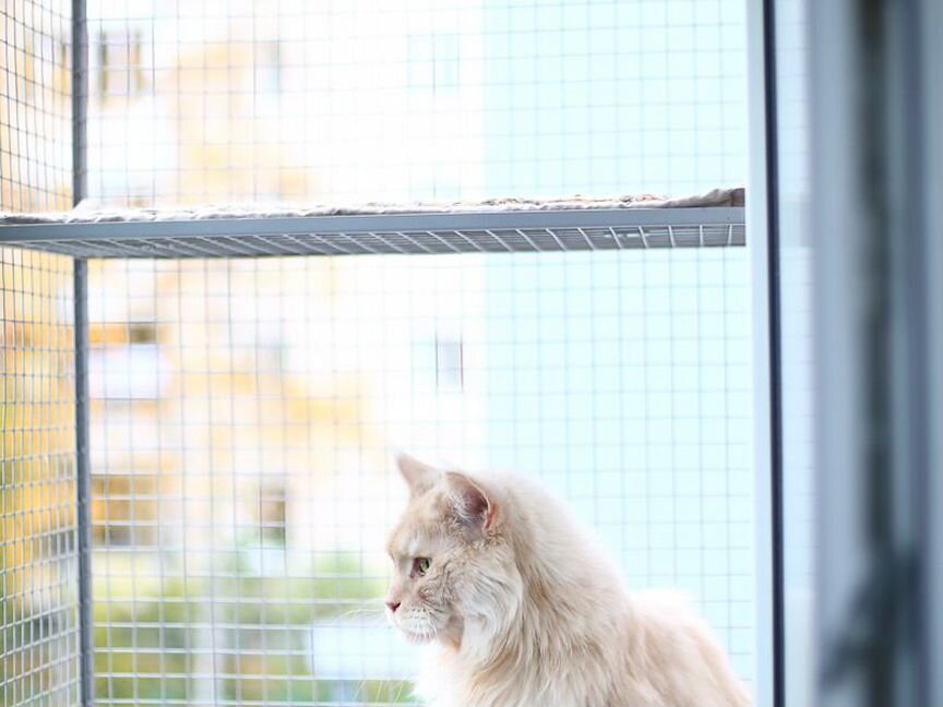 Кошачий балкончик антикошка