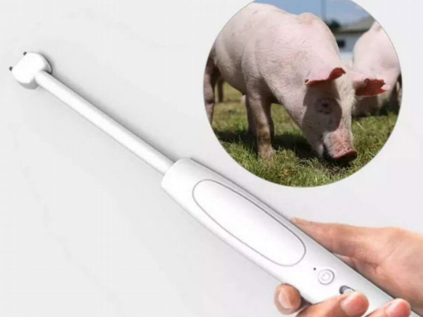 Электропогонялка для свиней