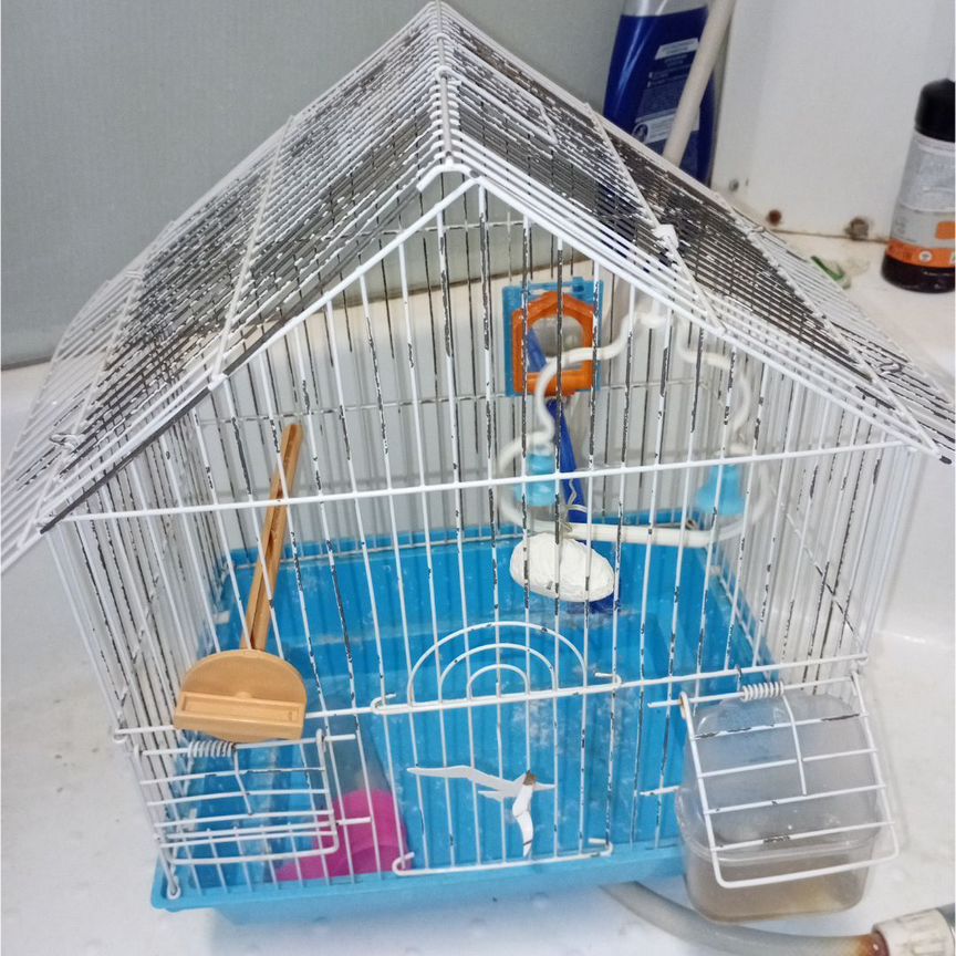 Клетка для попугая