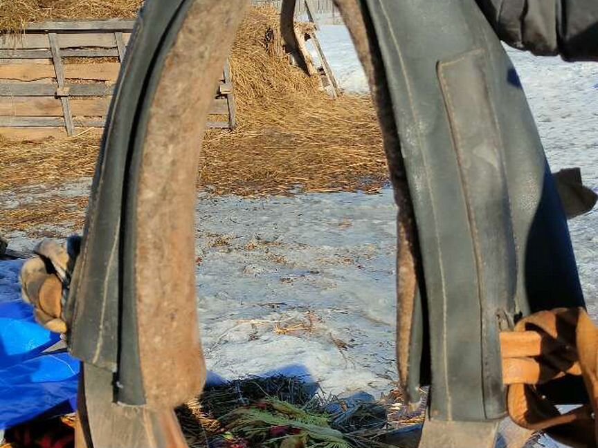 Хомуты для лошади 5 и 6