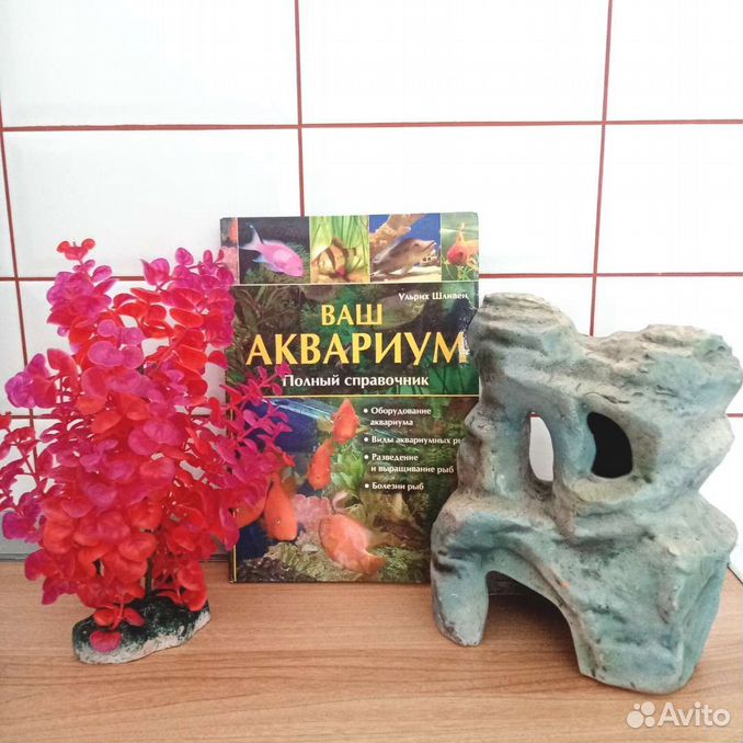 Декорации для аквариума, справочник Ваш аквариум