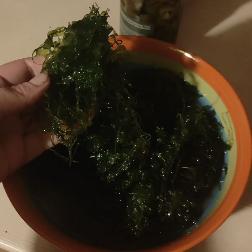 Мох для аквариума