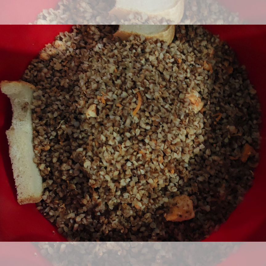 Отдам пищевые отходы