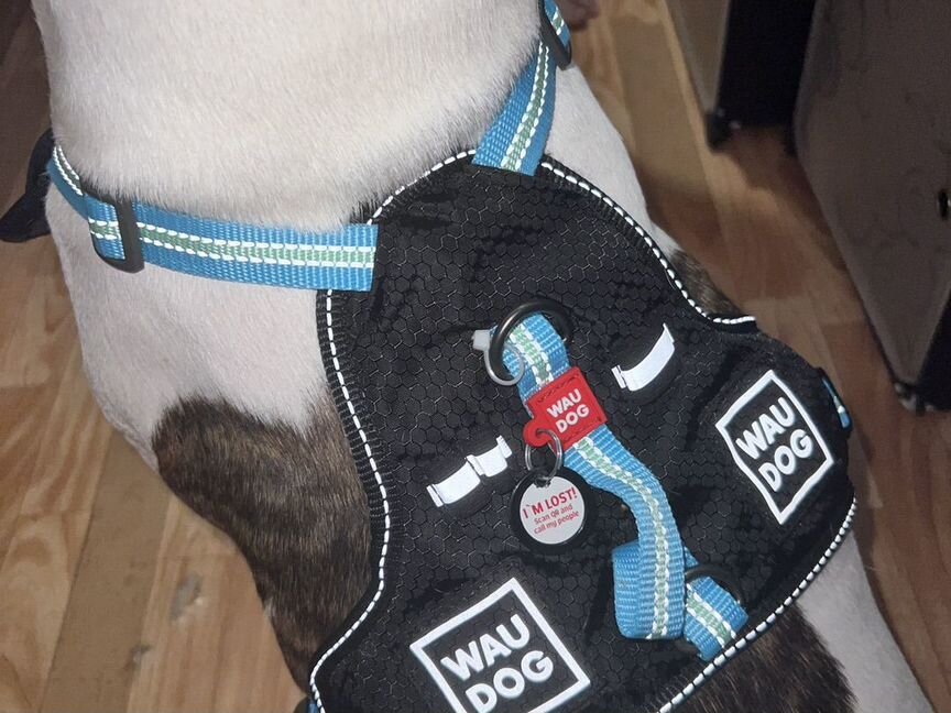 WAU DOG Шлейка для средней собаки