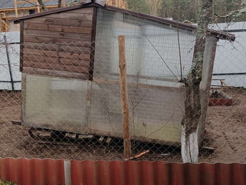 Курятник летний