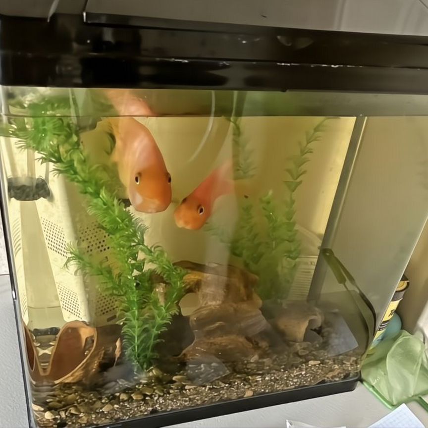 Продам аквариум без рыбок