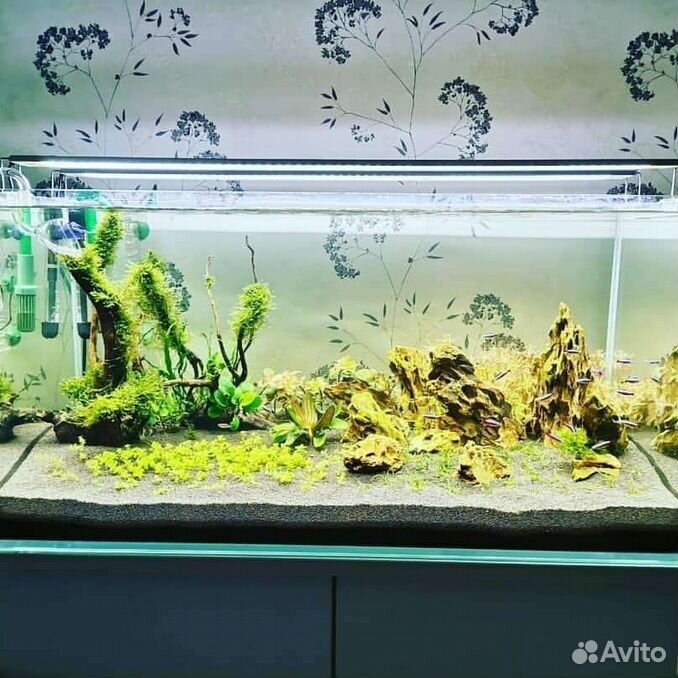 Аквариум Optiwhite