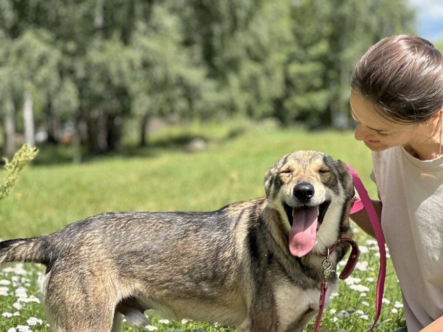 Активный мальчуган ищет дом