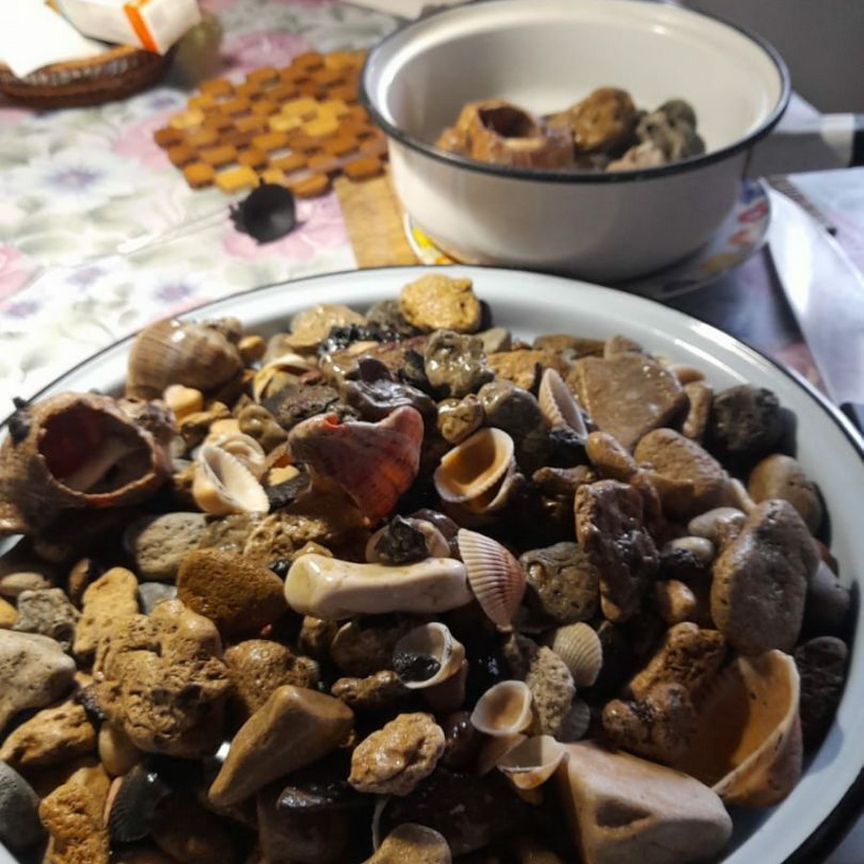Грунт, камни для аквариума