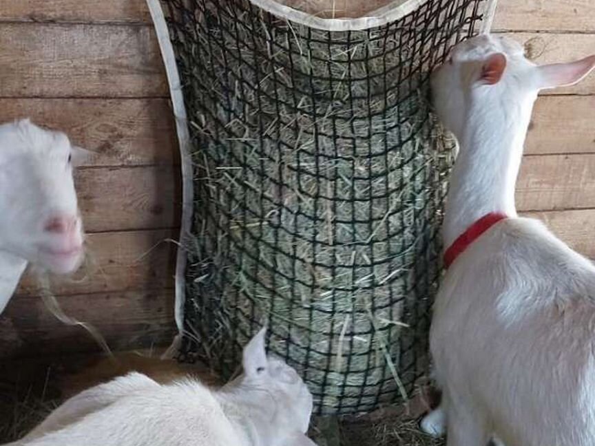 Для Авито. Рептух для коз и лошадей