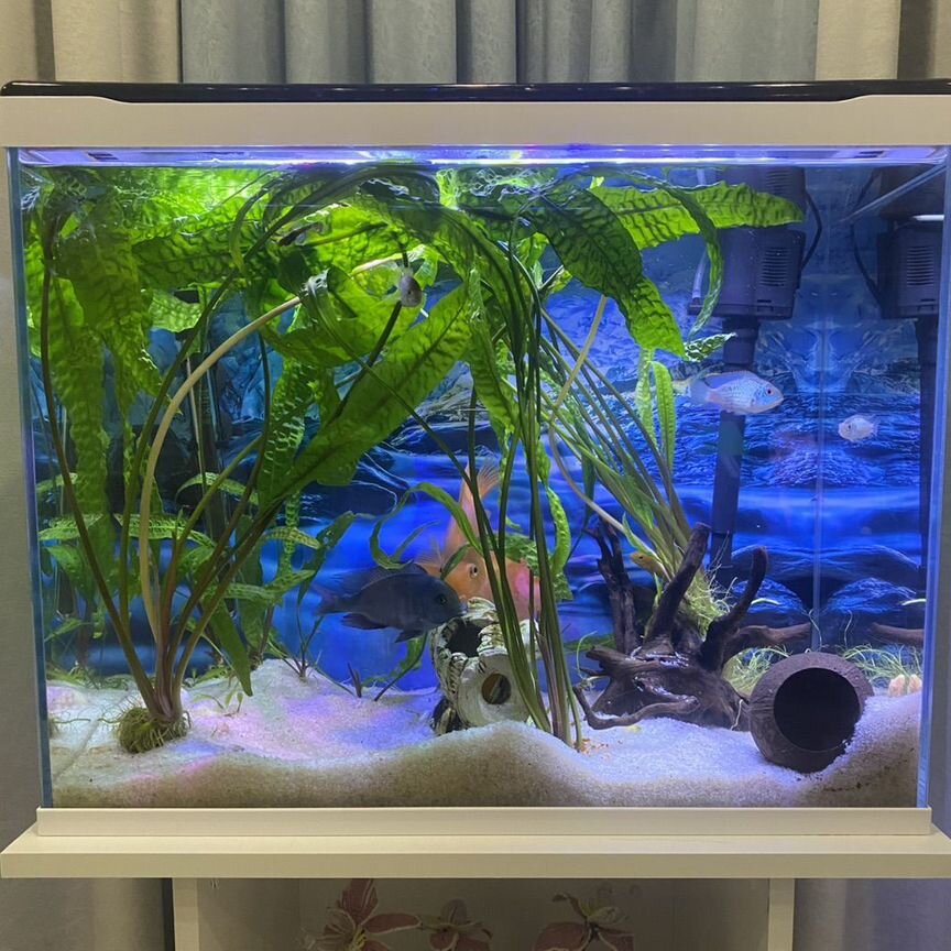 Аквариум 80л с тумбой