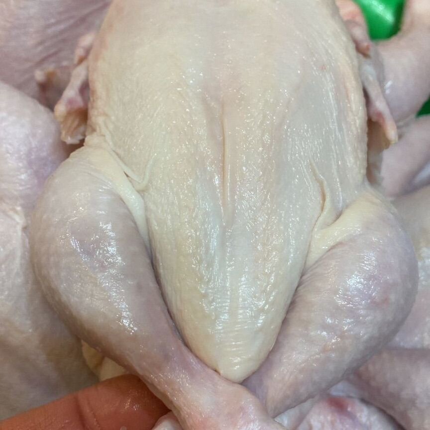 Цыплята корнишоны домашнии