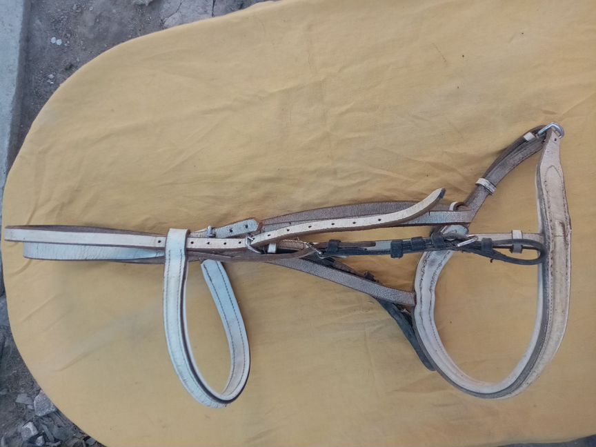 Уздечка для лошади бу