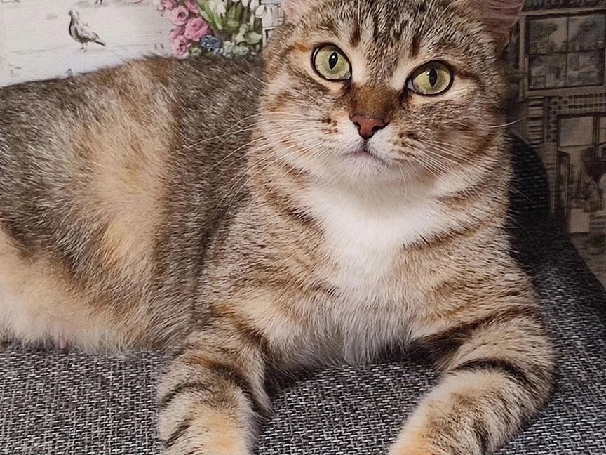 Приютите сироту