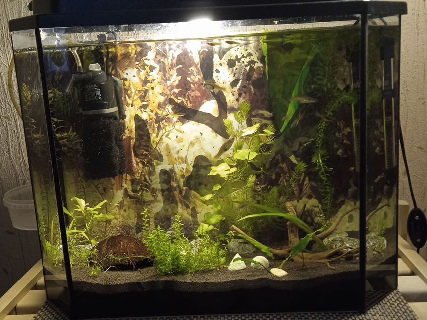 Аквариум готовый 35л