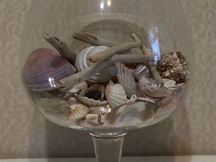Стеклянный аквариум с ракушками