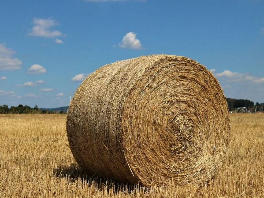 Сено в тюках